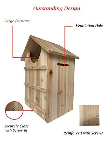 Sundia Screech Saw Whet Owl Kestrel Flicker Barn Large Big Bird Nesting Wooden Box Resident Habitant House (D100)