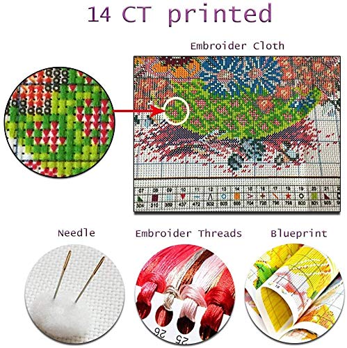 Joy Sunday Cross Stitch Kits Stamped Full Range of Embroidery Starter Kits for Beginners DIY 14 CT 2 Strands - Iris 2(Printed) 16.5×20.5 inch