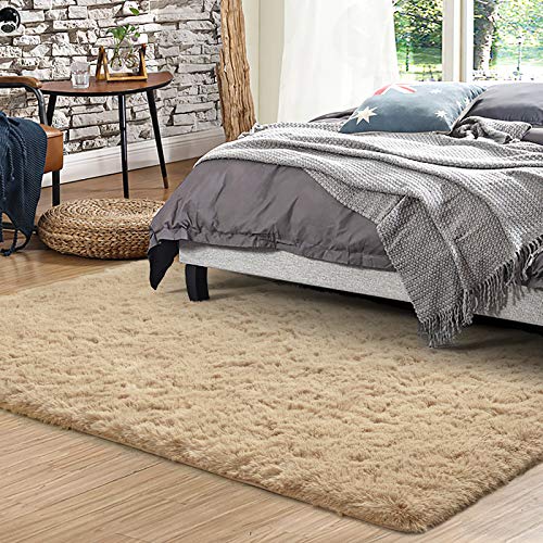 Pacapet Fluffy Area Rugs, Beige Shag Rug for Bedroom, Plush Furry Rugs for Living Room, Fuzzy Carpet for Kid's Room, Nursery, Home Decor 4 x 6 Feet