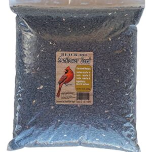 Desert Valley Premium Black Oil Sunflower Seeds - Wild Bird - Wildlife Food, Cardinals, Squirrels, Doves & More (10-Pounds)