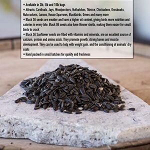 Desert Valley Premium Black Oil Sunflower Seeds - Wild Bird - Wildlife Food, Cardinals, Squirrels, Doves & More (10-Pounds)