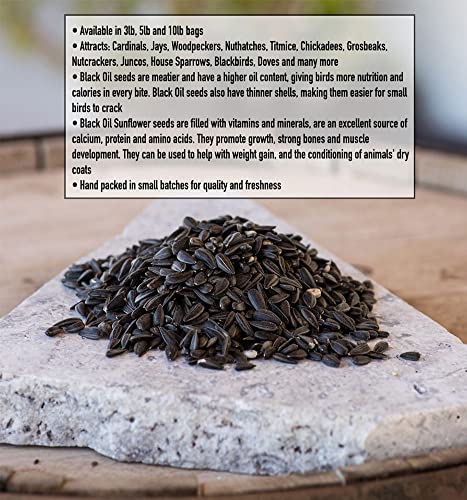 Desert Valley Premium Black Oil Sunflower Seeds - Wild Bird - Wildlife Food, Cardinals, Squirrels, Doves & More (10-Pounds)