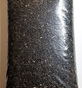 Desert Valley Premium Black Oil Sunflower Seeds - Wild Bird - Wildlife Food, Cardinals, Squirrels, Doves & More (10-Pounds)