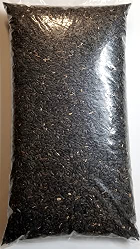 Desert Valley Premium Black Oil Sunflower Seeds - Wild Bird - Wildlife Food, Cardinals, Squirrels, Doves & More (10-Pounds)