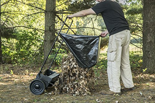 Agri-Fab 45-0218 26-Inch Push Lawn Sweeper, 26 Inches, Black & Greenworks 10 Amp 14” Corded Electric Dethatcher (Stainless Steel Tines)