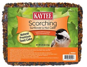 kaytee wild bird scorching sunflower & nut cake 2.2 lbs.