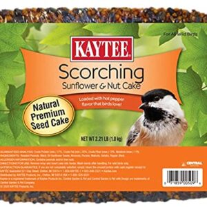 Kaytee Wild Bird Scorching Sunflower & Nut Cake 2.2 lbs.