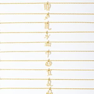 PAVOI 14K Yellow Gold Plated CZ Astrology Necklace Astrology Necklace | Astrology Gifts For Women | Zodiac Necklaces | Cancer Necklace