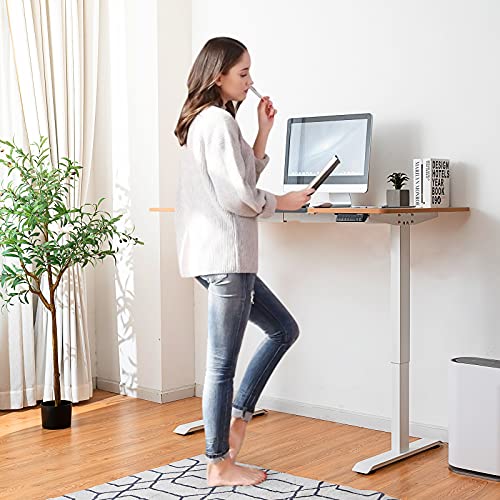 ERGOMASTER Electric Adjustable Standing Desk Home Office sit Stand Motor Height Adjustable Computer desks Table with Splice Tabletop for Working Gaming 55 x 28 inch