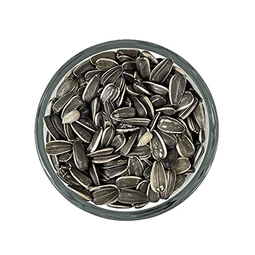 Executive Deals Grey Striped Sunflower Bird Seeds & Wildlife Feed - 5LBS (Double-Sealed)