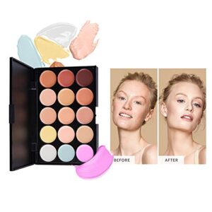 Pure Vie All-in-One Holiday Gift Makeup Set Cosmetic Essential Starter Bundle Include Eyeshadow Palette Lipstick Concealer Blush Mascara Foundation Face Powder - Makeup Kit for Women Full Kit