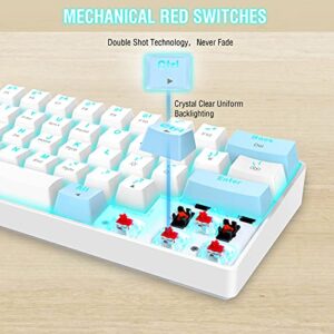 EDJO Bluetooth Mechanical Keyboard 60%, Wireless/Wired Red Switches Mechanical Gaming Keyboard with Backlit, Ultra-Compact 60 Percent Computer Keyboard for Windows, Mac OS