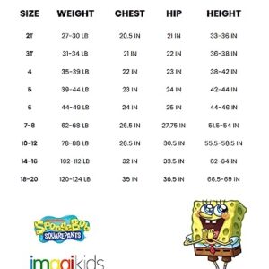 SpongeBob SquarePants Little Boys Fleece Fashion Pullover Hoodie Yellow 6