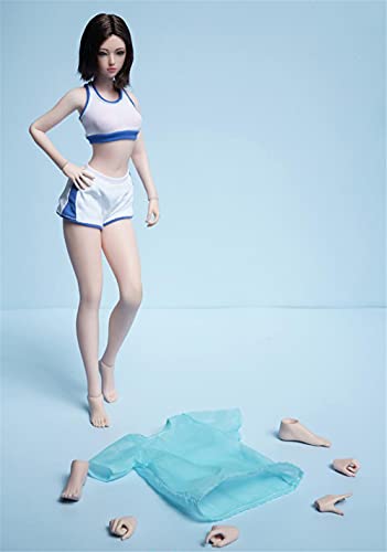 HiPlay TBLeague Seamless Action Figure Anime Body Type and Small Bust 1:6 Scale S44(Pale, with Head)