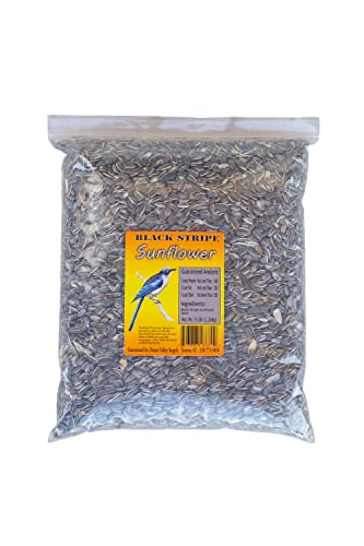 Desert Valley Premium Striped Sunflower Seeds - Wild Bird - Wildlife Food, Cardinals, Squirrels, Jays & More (5-Pounds)