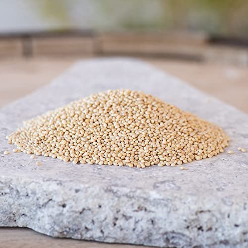 Desert Valley Premium White Millet Proso Seeds - Wild Bird Food- Cardinal, Finch & More (3-Pounds)