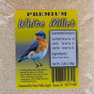 Desert Valley Premium White Millet Proso Seeds - Wild Bird Food- Cardinal, Finch & More (3-Pounds)