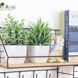 Der Rose 6 Packs Small Fake Plants Artificial Plants in Pots for Home Bathroom Bedroom Living Room Decor Indoor