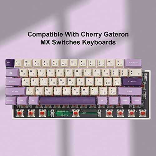 AHHC PBT Japanese Keycaps - Ocean Custom , 123 Keys XVX Profile Keycaps Full Set, for Cherry Gateron MX Switches Mechanical Keyboard (Purple)