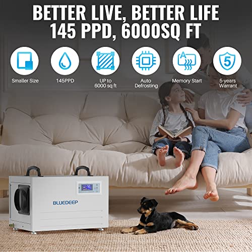 BLUEDEEP Basement/Crawl Space Dehumidifier,145 Pints (Saturation) 70 Pints Auto Defrost Commercial Dehumidifier with Drain Hose for Water Damage Storage,5 Years Warranty