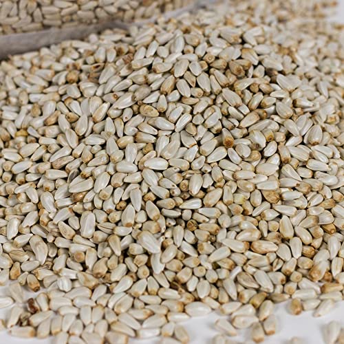 MagJo Naturals Safflower Seeds for Wild Birds (8 lbs) Whole Seeds, USA Farm Direct, Wild Bird Food, Safflower Seed, Safflower Bird Seed, Bird Seed for Weddings