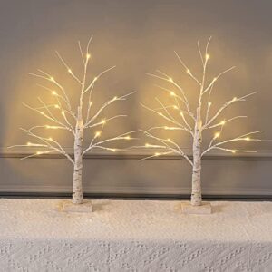 meetyamor 2 pack 24” 2ft lighted birch tree with 18lt warm white leds, christmas decorations indoor battery powered timer, artificial branch trees for money tree party wedding table mantel home decor