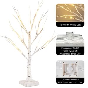 MEETYAMOR 2 Pack 24” 2FT Lighted Birch Tree with 18LT Warm White LEDs, Christmas Decorations Indoor Battery Powered Timer, Artificial Branch Trees for Money Tree Party Wedding Table Mantel Home Decor