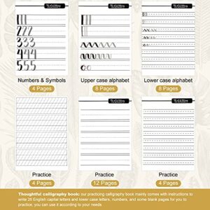 Chinco 9 Pieces Calligraphy Set for Beginners learn Caligraphy Kits, Including 8 Pieces Calligraphy Brush Pens Hand Lettering Pens and Lettering Workbook Calligraphy Book for Teen Kid Adult