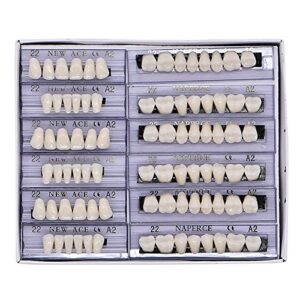 168 pcs dental synthetic resin tooth denture 6 sets false teeth 22 a2 upper lower shade dental for halloween horror teeth (22 a2)