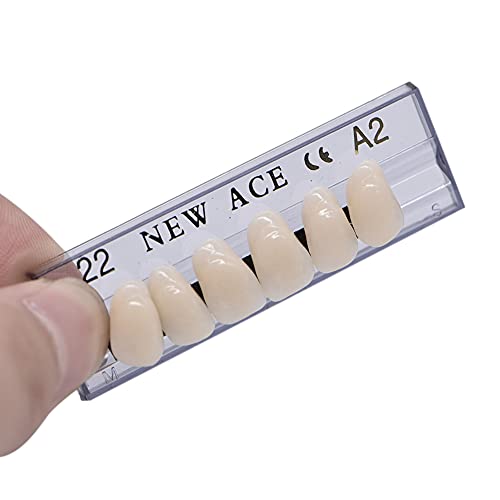 168 Pcs Dental Synthetic Resin Tooth Denture 6 Sets False Teeth 22 A2 Upper Lower Shade Dental for Halloween Horror Teeth (22 A2)