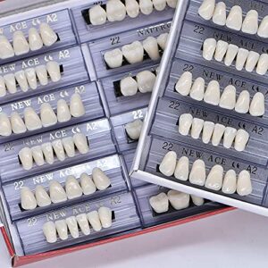 168 Pcs Dental Synthetic Resin Tooth Denture 6 Sets False Teeth 22 A2 Upper Lower Shade Dental for Halloween Horror Teeth (22 A2)