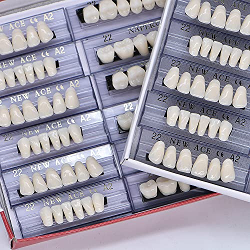 168 Pcs Dental Synthetic Resin Tooth Denture 6 Sets False Teeth 22 A2 Upper Lower Shade Dental for Halloween Horror Teeth (22 A2)