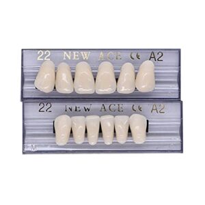 168 Pcs Dental Synthetic Resin Tooth Denture 6 Sets False Teeth 22 A2 Upper Lower Shade Dental for Halloween Horror Teeth (22 A2)