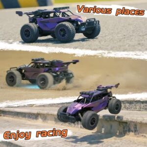 LARVEY 2WD 1:16 Scale Purple Remote Control Car, 20 Km/h High Speed Girls Monster Vehicle with LED Headlights and Chassis Lights, RC Cars for Boys and Adults