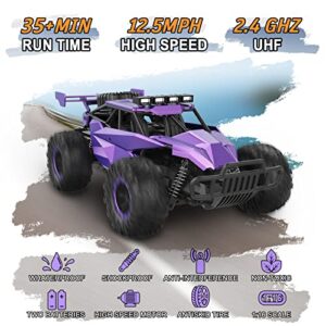 LARVEY 2WD 1:16 Scale Purple Remote Control Car, 20 Km/h High Speed Girls Monster Vehicle with LED Headlights and Chassis Lights, RC Cars for Boys and Adults