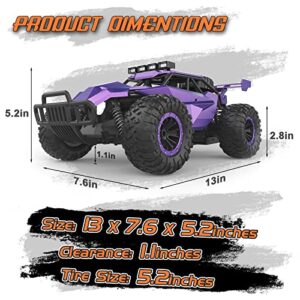 LARVEY 2WD 1:16 Scale Purple Remote Control Car, 20 Km/h High Speed Girls Monster Vehicle with LED Headlights and Chassis Lights, RC Cars for Boys and Adults