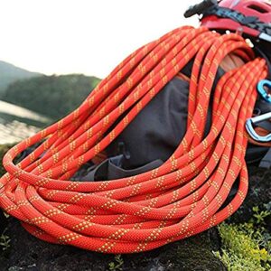 YUZENET Braided Polyester Arborist Rigging Rope (3/8 inch X 100 feet) High Strength Outdoor Rope for Rock Climbing Hiking Camping Swing, Purple