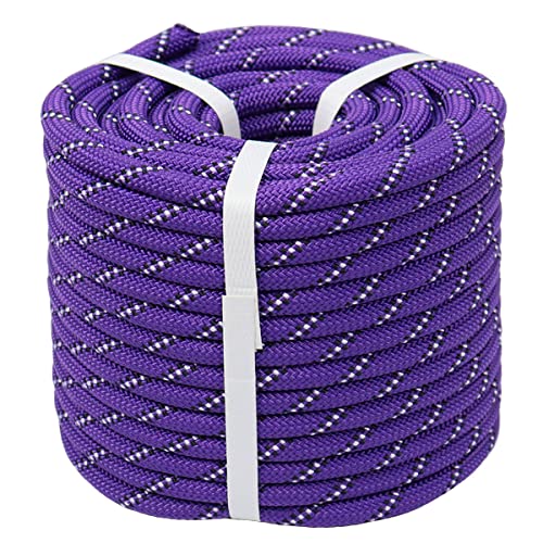 YUZENET Braided Polyester Arborist Rigging Rope (3/8 inch X 100 feet) High Strength Outdoor Rope for Rock Climbing Hiking Camping Swing, Purple