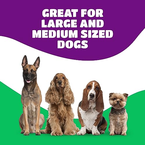 Lively Tails Liver Coated Dog Bones for Aggressive Chewers, Natural Dog Bones for Large Dogs, Beef Shin Large Dog Bones for Medium Dogs, Bones for Dogs Long Lasting, Dog Chew Bones - 1 Count