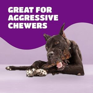 Lively Tails Liver Coated Dog Bones for Aggressive Chewers, Natural Dog Bones for Large Dogs, Beef Shin Large Dog Bones for Medium Dogs, Bones for Dogs Long Lasting, Dog Chew Bones - 1 Count