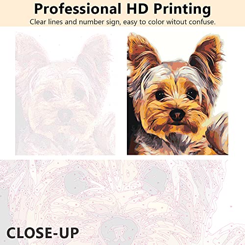 TISHIRON Oil Hand Painting Yorkshire Terrier Puppy DIY Paint by Numbers Cute Dog Painting on Canvas for Adults Beginner Kids Drawing with Brushes Christmas Gift Wall Decorations 16'' W x 20'' L