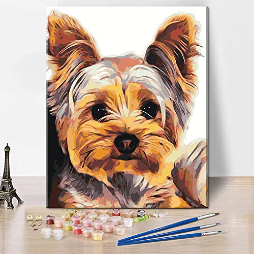 TISHIRON Oil Hand Painting Yorkshire Terrier Puppy DIY Paint by Numbers Cute Dog Painting on Canvas for Adults Beginner Kids Drawing with Brushes Christmas Gift Wall Decorations 16'' W x 20'' L