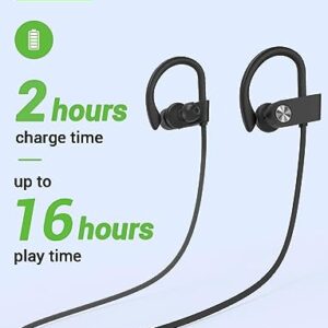 Stiive Bluetooth Headphones, 5.3 Wireless Sports Earbuds IPX7 Waterproof with Mic, Stereo Sweatproof in-Ear Earphones, Noise Cancelling Headsets for Gym Running Workout, 16 Hours Playtime - BlackGrey