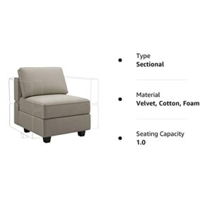 Belffin Modular Sofa Middle Module with Storage Accent Armless Chair for Modular Sectional Sofa Couch Velvet Grey