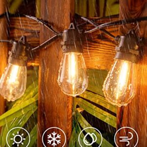 addlon 50FT LED Outdoor String Lights with Edison Shatterproof Bulbs, Weatherproof Strand, Commercial Grade Patio Lights, Decorative for Garden or Patio, Black