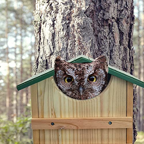 Prolee Screech Owl House Hand Made 14 x 10 Inch 100% Cedar Wood Owl Box with Mounting Screws, Easy Assembly Required (Bird Stand Design)