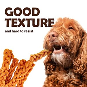 Afreschi Turkey Tendon Dog Treats for Classic Series, All Natural Human Grade Dog Treat, Suitable for Training chew, Ingredient Sourced from USA, Rawhide Alternative, Braided Stick