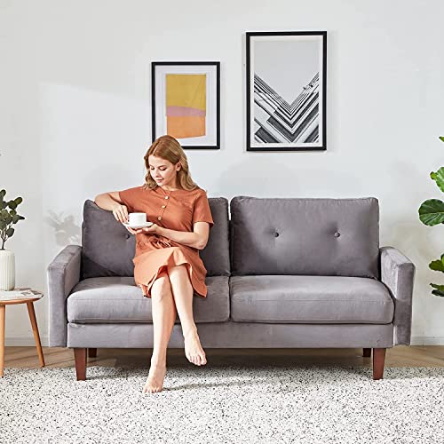 Dreamsir 69" Modern Cream Love Seats Sofa Couch Furniture, Velvet Fabric Mid Century Couch for Living Room, Bedroom, Apartment/Easy, Tool-Free Assembly (Sofa, Gray)