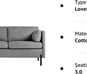 LINLUX 55''W Upholstered Modern Loveseat Sofa Couch for Living Room, Fabric Small Love Seat w/ 2 Pillows and Iron Legs, 2 Seat Small Couches for Small Spaces, Bedroom, Apartment, Office, Grey