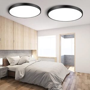 2 pack led flush mount ceiling light fixture, 12 inch 24w, modern flat black ceiling lighting fixture, 5000k daylight white, 3200lm low profile ceiling lamp for bedroom, living room, hallway, kitchen